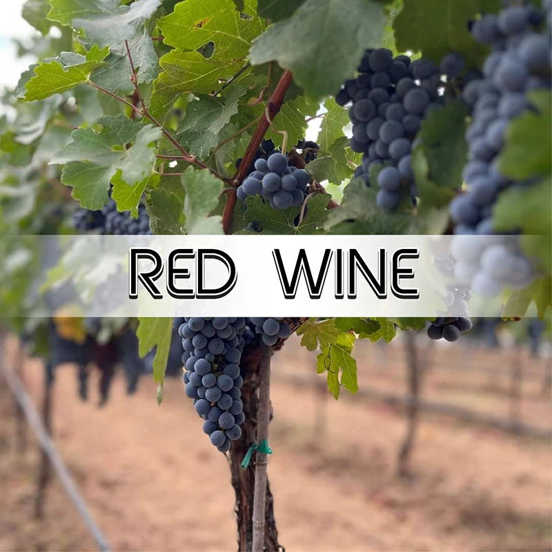 Red – Wineshop