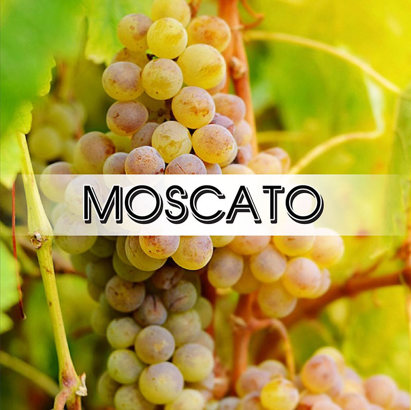 Moscato – Wineshop